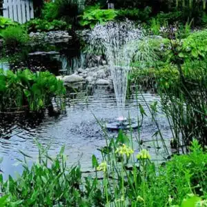 Vandfontæne-shop | Springvand, vandsten, vandspil og fontæner